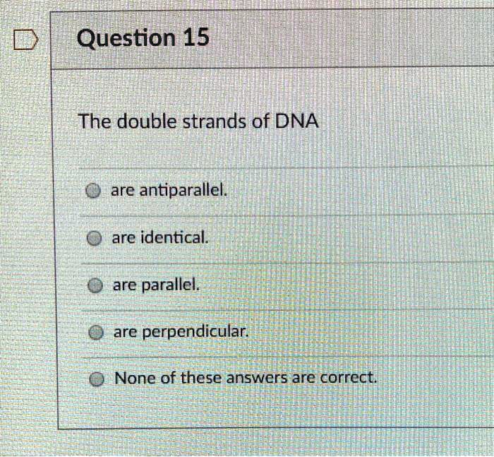 SOLVED: The double strands of DNA are antiparallel: are identical: are ...
