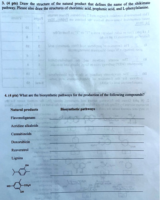 SOLVED:(4 pts) Draw the structure of the natural product that defines ...