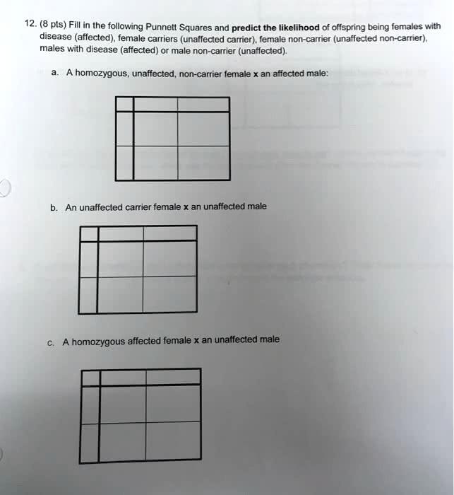 12. (8 pts) Fill in the following Punnett Squares and predict the ...