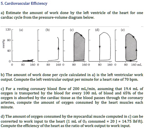 5. Cardiovascular Efficiency a) Estimate the amount of work done by the ...