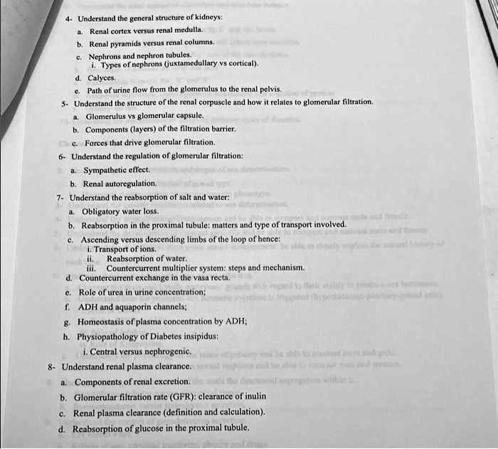 SOLVED: Understand the general structure of kidneys: Renal cortex ... SOLVED: Understand the general structure of kidneys: Renal cortex ...