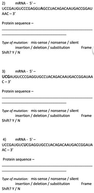 SOLVED: mRNA 5' - UCCGAUGUCCCGAGGUAGCCUACAGACAAUGACCGGAUAAC Protein ...
