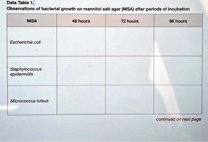 Data Table 1. Observations of bacterial growth on mannitol salt agar ...