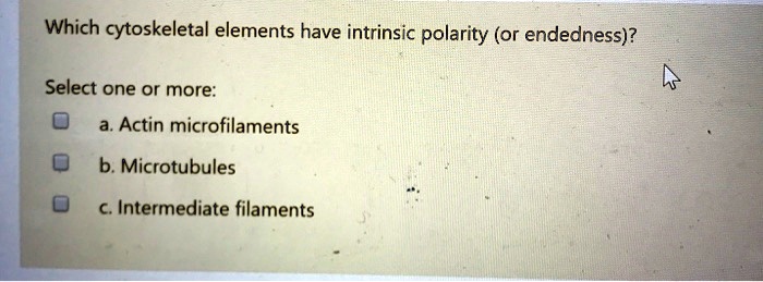 Solved Which Cytoskeletal Elements Have Intrinsic Polarity Or