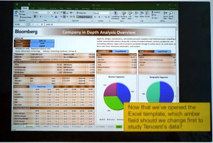 Bloomberg Company in Depth Analysis Overview APPLE INC Now that we've ...