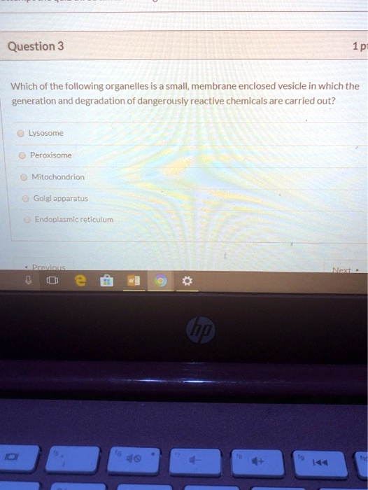 SOLVED: Which of the following organelles is a small, membrane-enclosed ...