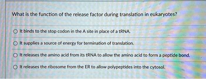SOLVED: What is the function of the release factor during translation ...