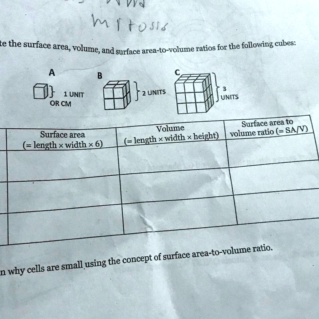 Cube Surface Area To Volume Ratio