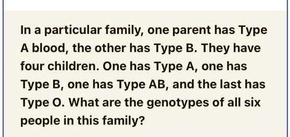 in a particular family one parent has type a blood the other has type b ...
