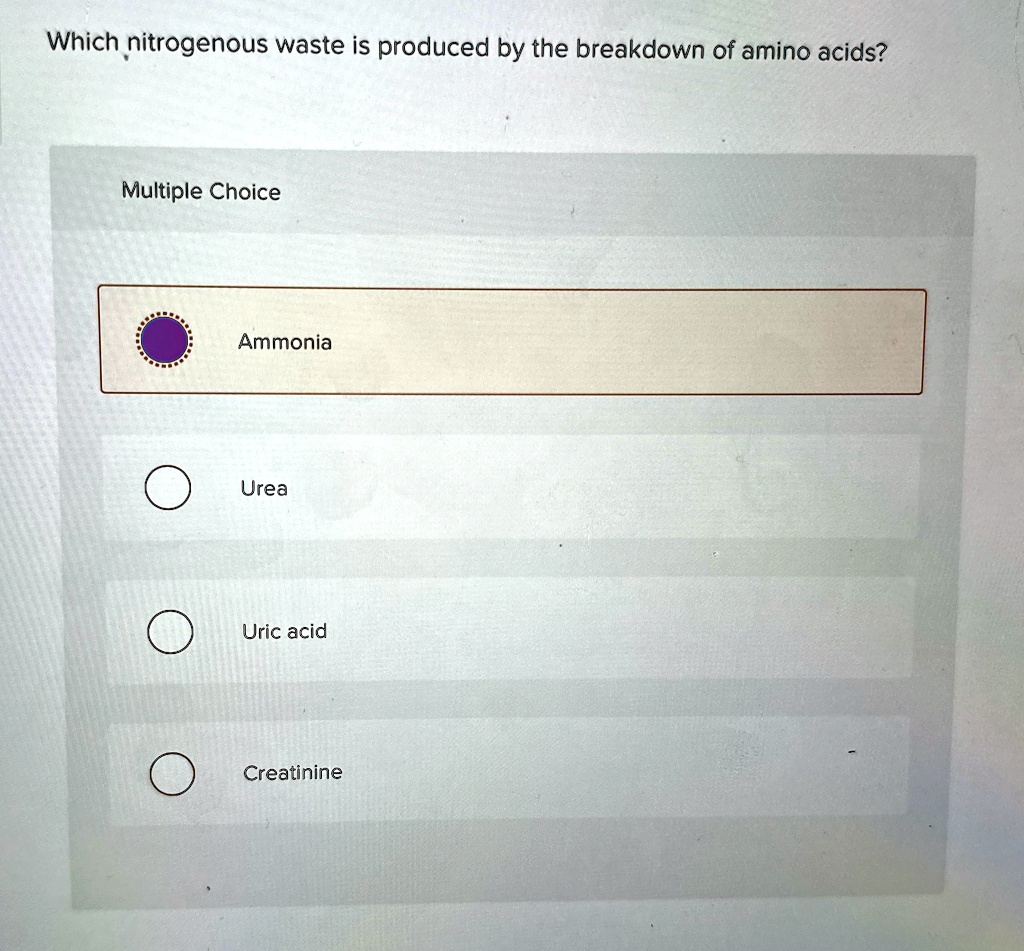 Which nitrogenous waste is produced by the breakdown of amino acids ...