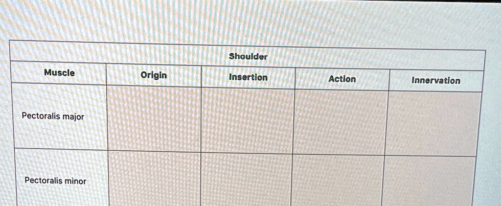 SOLVED: 'Muscles help. I need the origin, insertion, action and ...