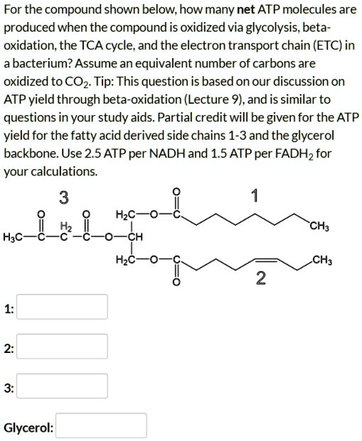 SOLVED: For the compound shown below, how many net ATP molecules are ...
