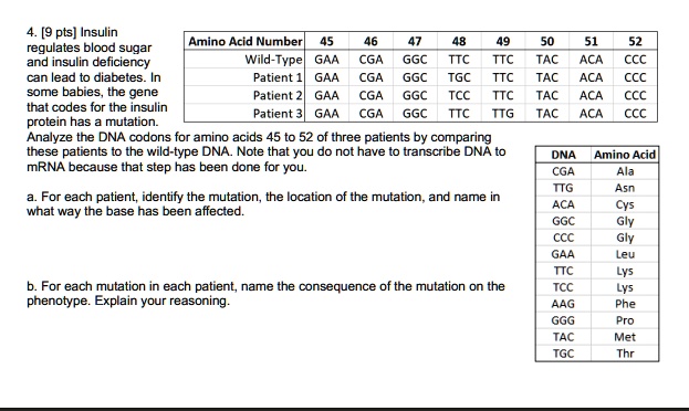 SOLVED:[9 pts] Insulin Amino Acid Number regulates blood sugar and ...