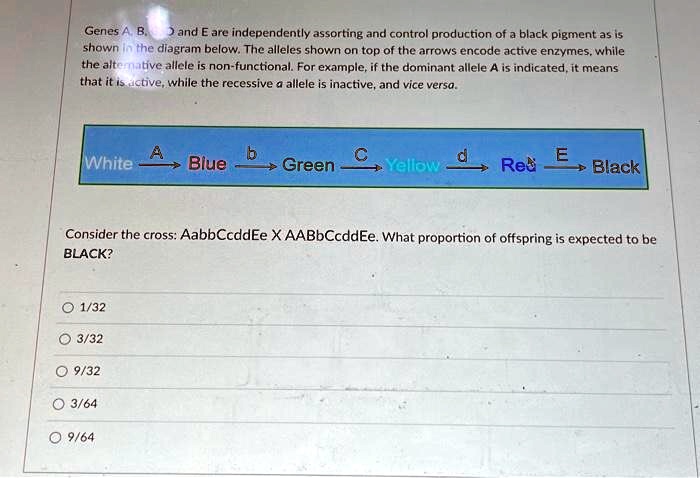 SOLVED: Texts: Genes A, B, and E are independently assorting and ...
