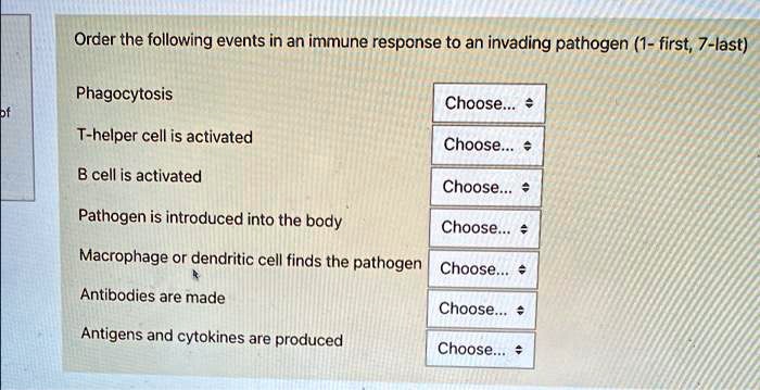 order the following events in an immune response to an invading ...