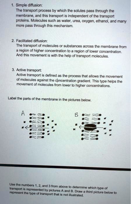 1. Simple diffusion: The transport process by which the solutes pass ...