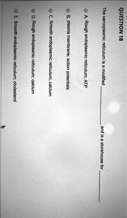 SOLVED: OD. Rough endoplasmic reticulum; calcium OC. Smooth endoplasmic ...