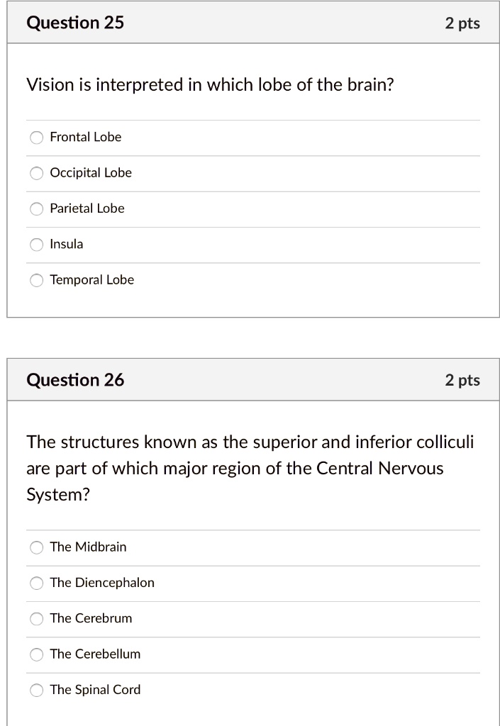 SOLVED: Question 25 2 pts Vision is interpreted in which lobe of the ...