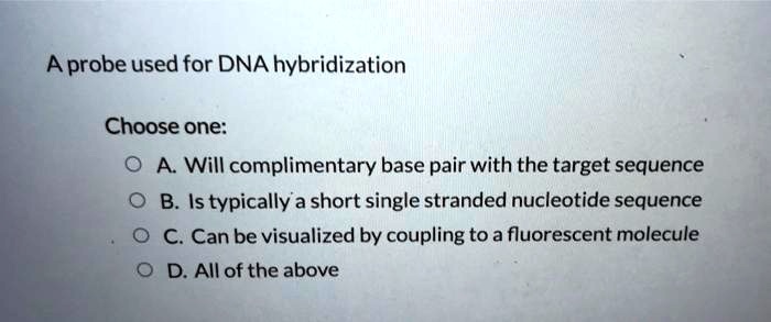 A probe used for DNA hybridization Choose one: A. Will complimentary ...