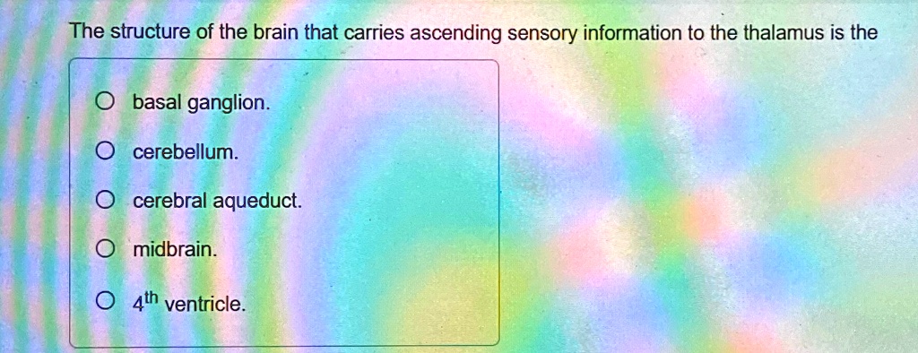 the structure of the brain that carries ascending sensory information ...