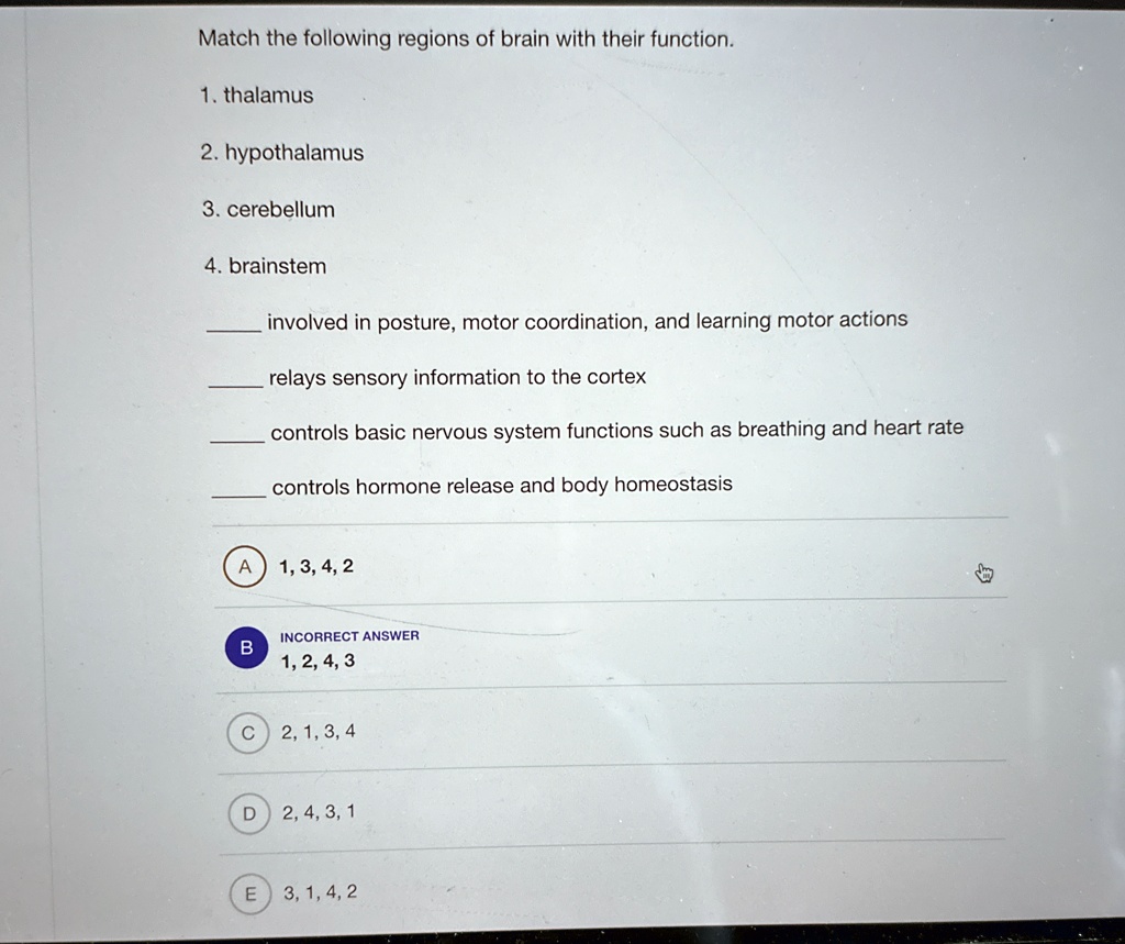 Match the following regions of brain with their function. 1. thalamus 2. hypothalamus 3 ...