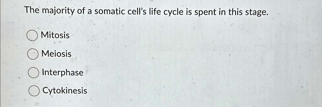 The majority of a somatic cell's life cycle is spent in this stage ...