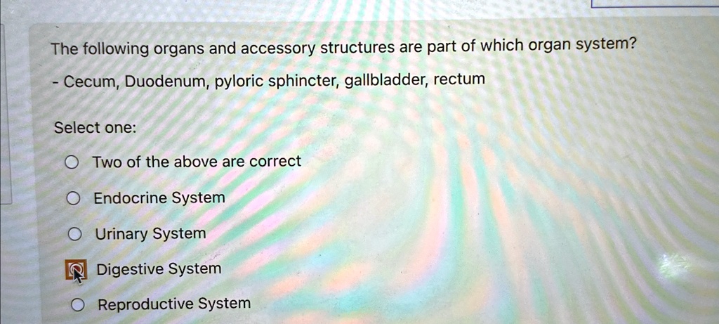 the following organs and accessory structures are part of which organ ...