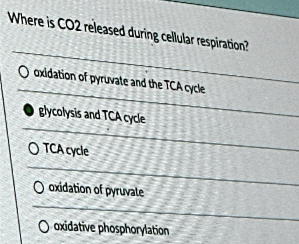 Where is CO2 released during cellular respiration? oxidation of ...