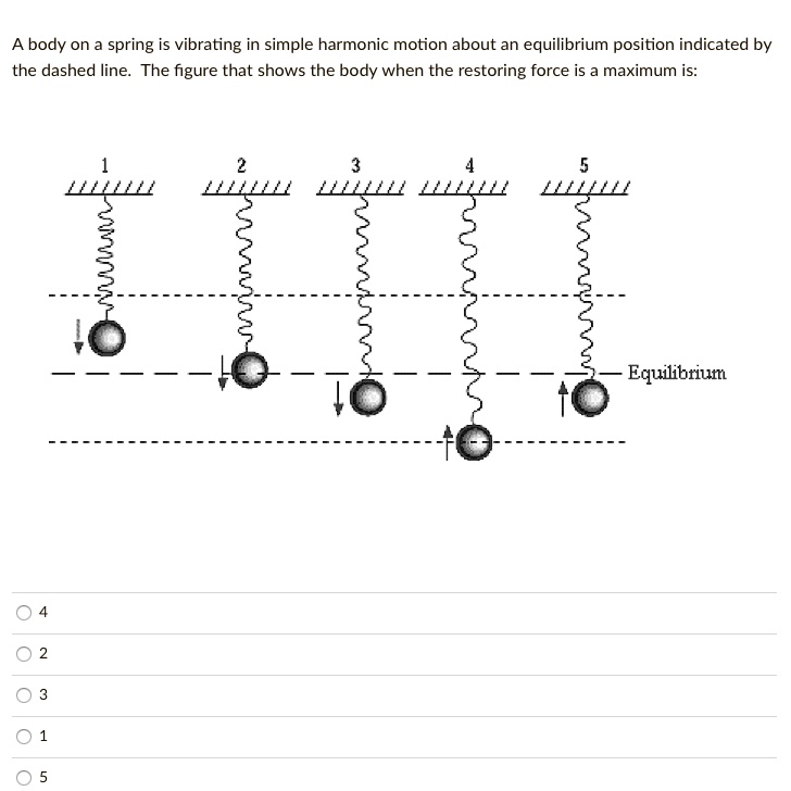 a body on spring is vibrating in simple harmonic motion about an ...