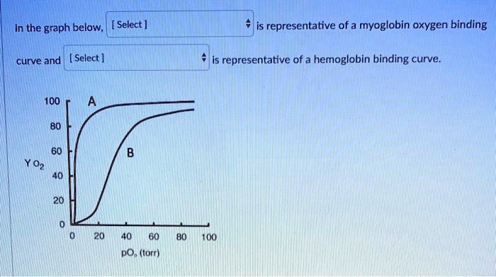 in the graph below select is representative of a myoglobin oxygen ...