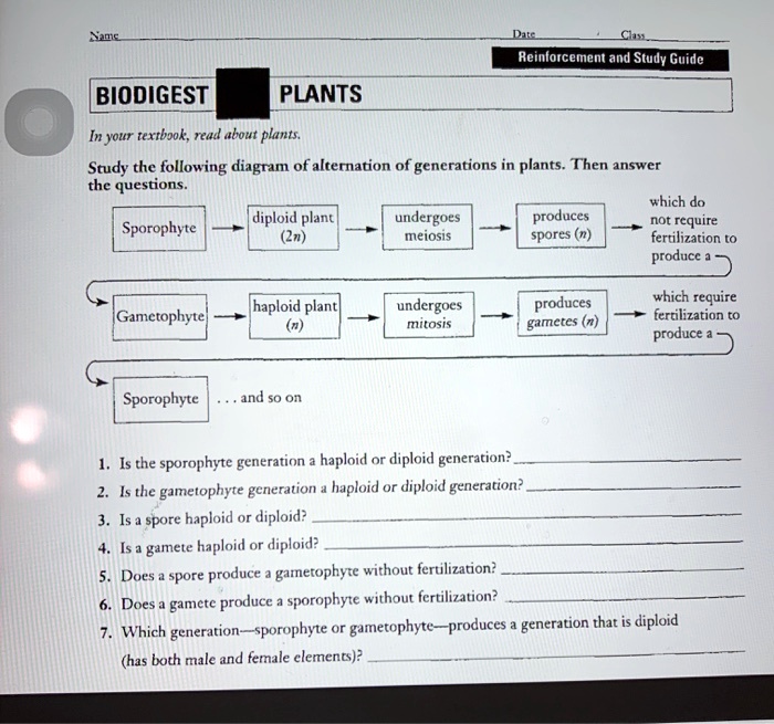 SOLVED Amc N Reinforcement And Study Guide N BIODIGEST PLANTS In Your solved-amc-n-reinforcement-and-study-guide-n-biodigest-plants-in-your