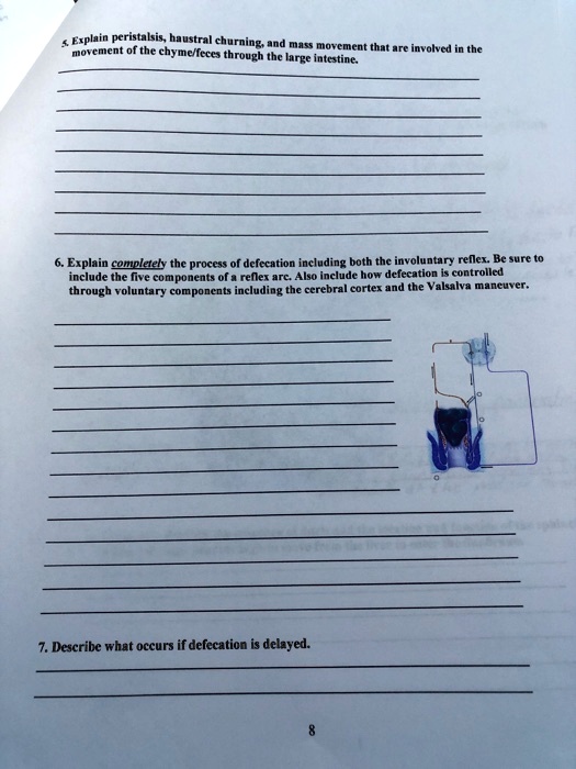 SOLVED: 6.Explain completely the process of defecation including both ...