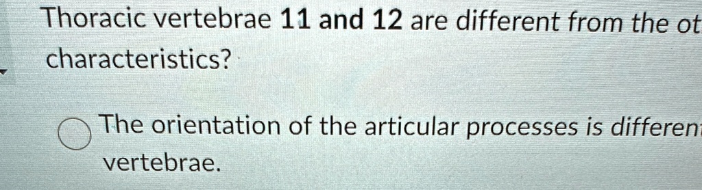 Thoracic vertebrae 11 and 12 are different from the other thoracic ...