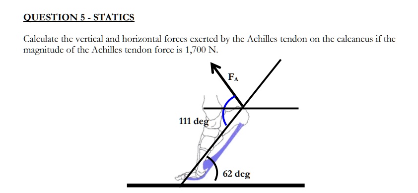 QUESTION 5 - STATICS Calculate the vertical and horizontal forces ...