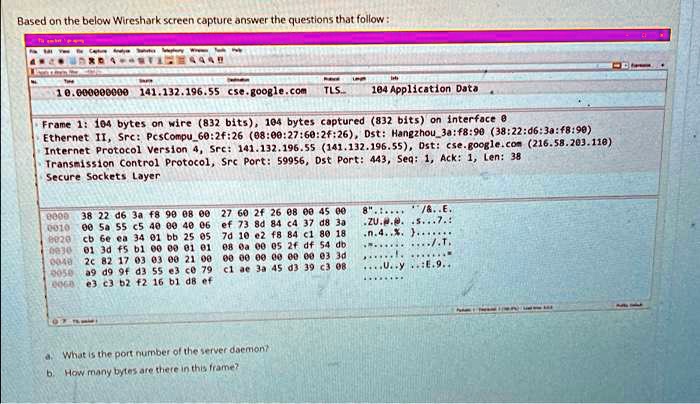 SOLVED: 10.600000000141.132.196.55cse.google.comTLS 104 Application ...
