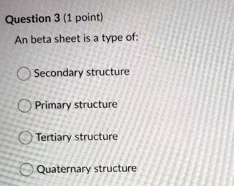 SOLVED: Question 3 (1 point) An beta sheet is a type of: Secondary ...