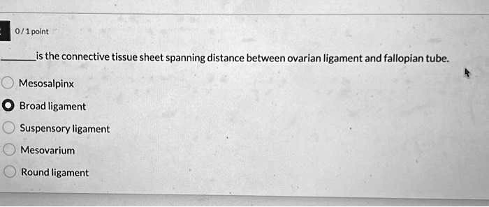is the connective tissue sheet spanning distance between ovarian ...