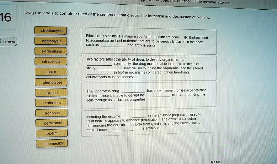 Drag the labels to complete each of the sentences that...