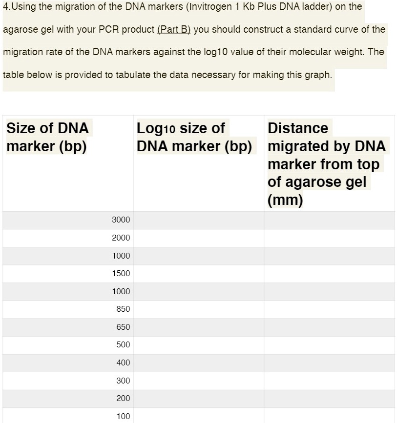 SOLVED: Using the migration of the DNA markers (Invitrogen Kb Plus DNA ...