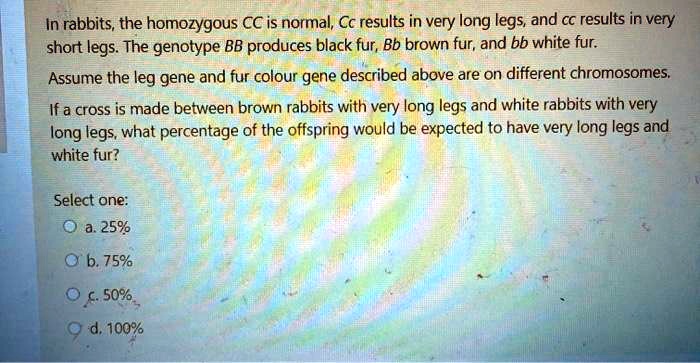 in rabbits the homozygous cc is normal cc results in very long legs and ...