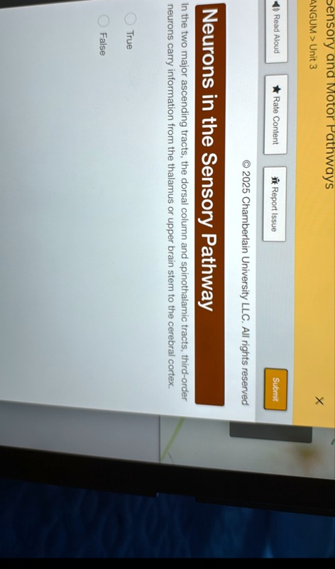 sensory and motor pathways angum unit 3 read aloud rate content report issue submit 2025 ...