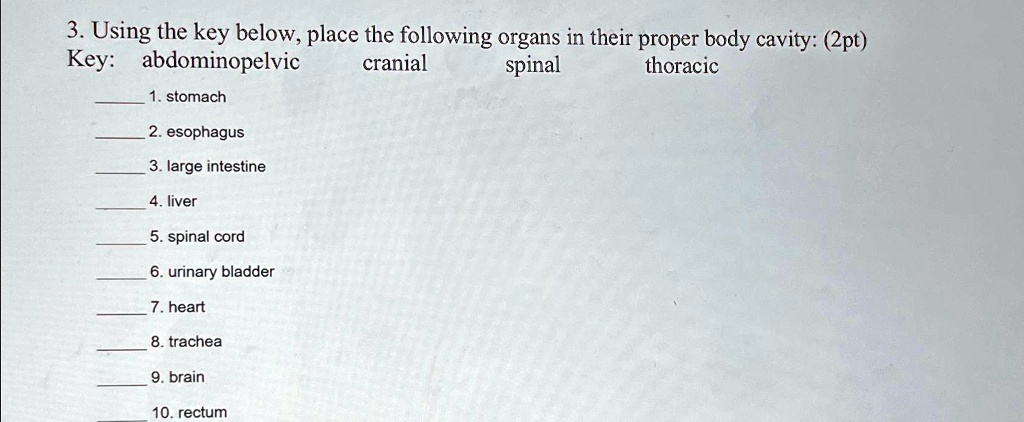 3. Using the key below, place the following organs in their proper body ...