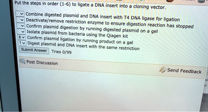 SOLVED:Put the steps in order (1-6) to ligate DNA insert into cloning ...