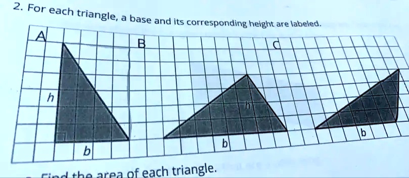 SOLVED: 2. For each triangle, the base and its corresponding height are ...