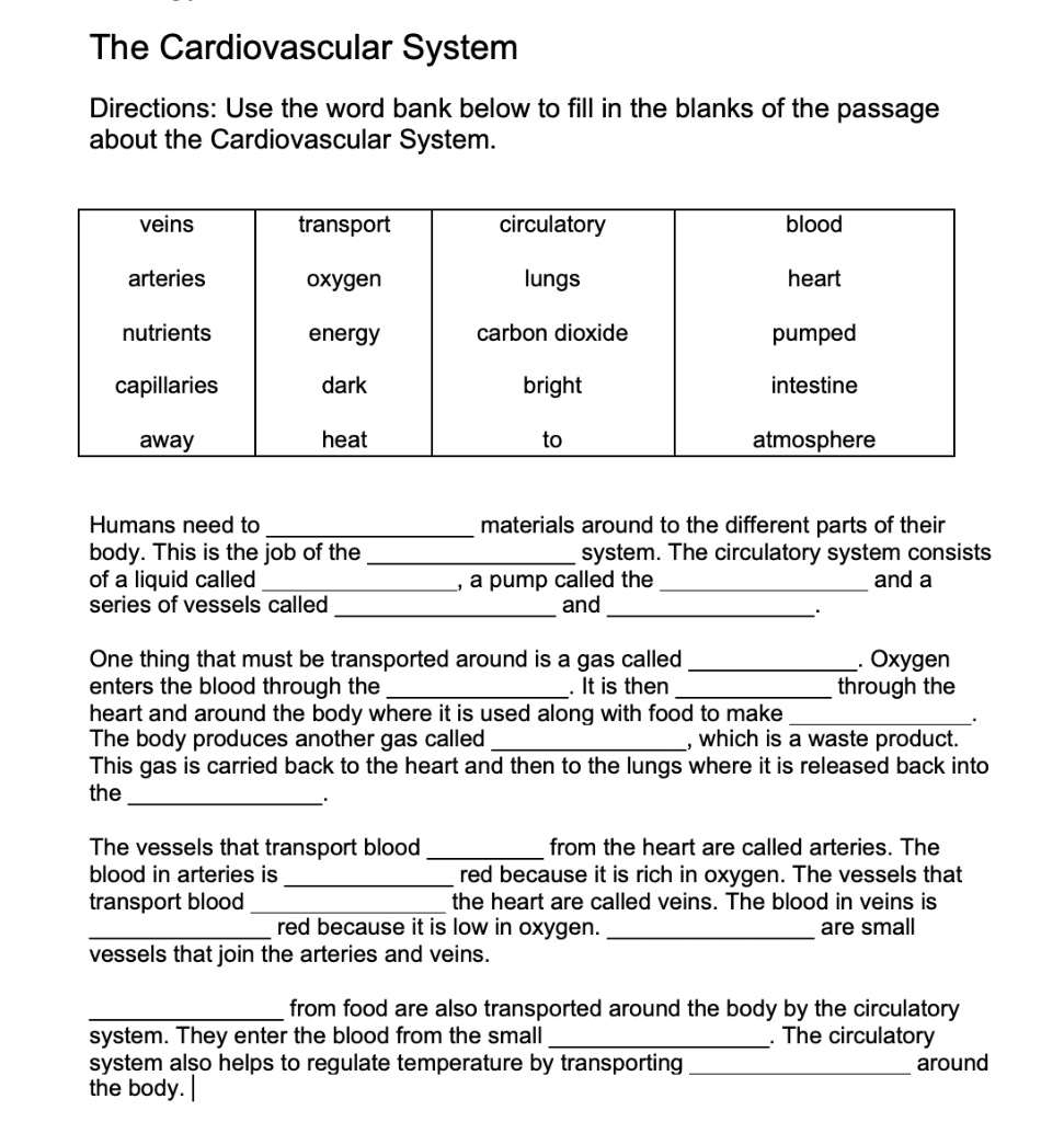the cardiovascular system directions use the word bank below to fill in ...