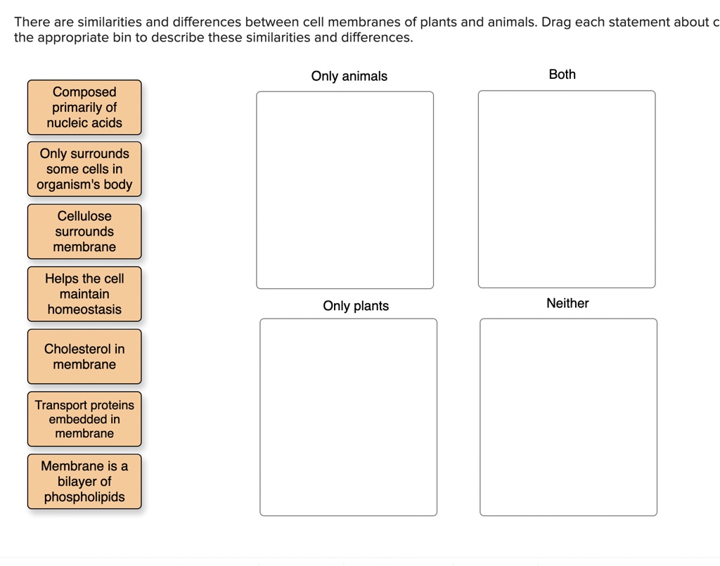SOLVED: There are similarities and differences between cell membranes ...