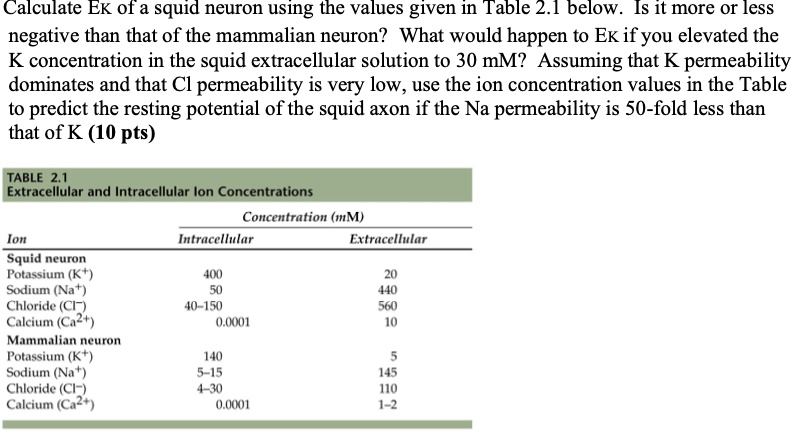 SOLVED:Calculate EK of a squid neuron using the values given in Table 2.1 below _ Is It more or ...