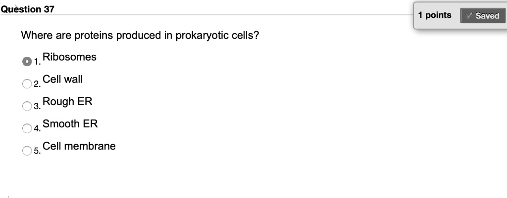 SOLVED: Question 37 points Saved Where are proteins produced in ... SOLVED: Question 37 points Saved Where are proteins produced in ...
