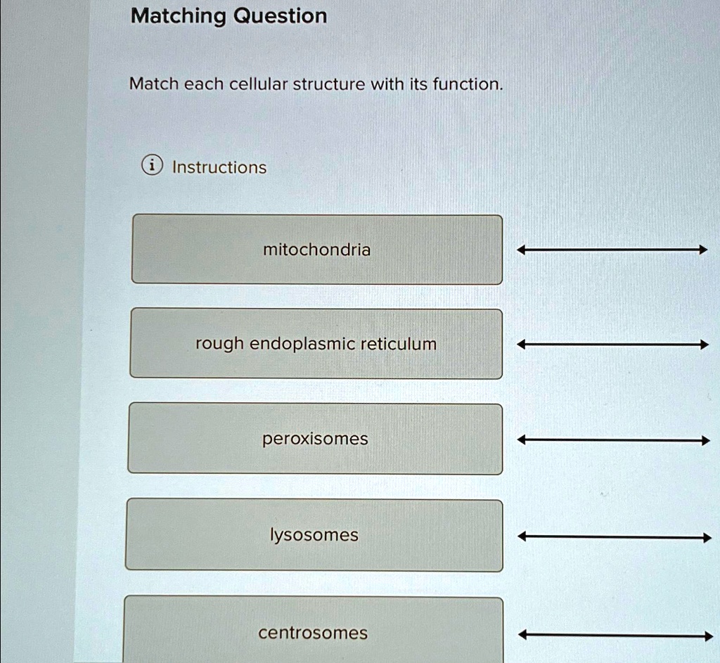 SOLVED: Matching Question Match each cellular structure with its function. Instructions rough ...