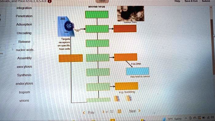 Text: Drag and drop the labels into the correct empty boxes to complete ...